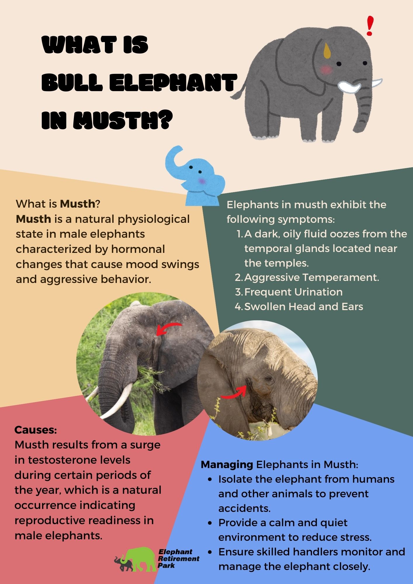 Elephant Retirement Park